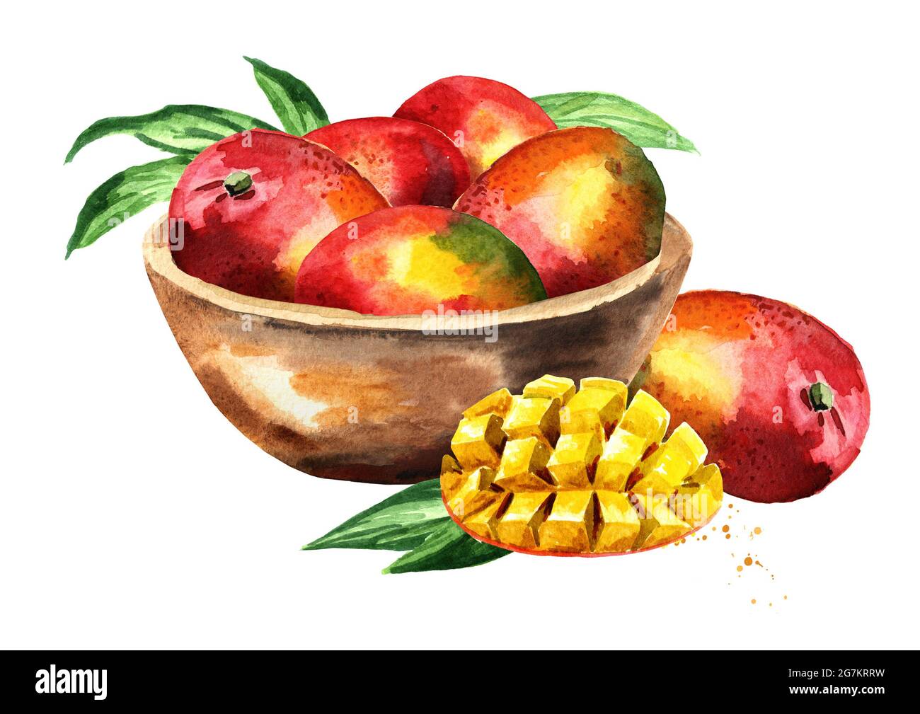 Bowl with ripe mango. Watercolor hand drawn illustration, isolated on ...