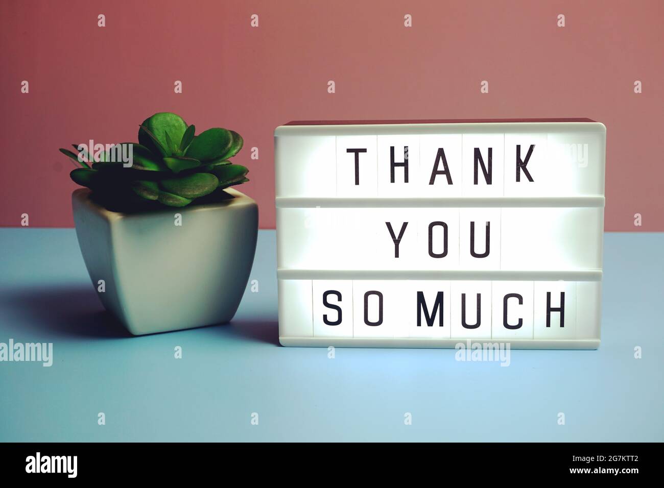 Thank You Too Muchword in light box on blue and pink background Stock ...