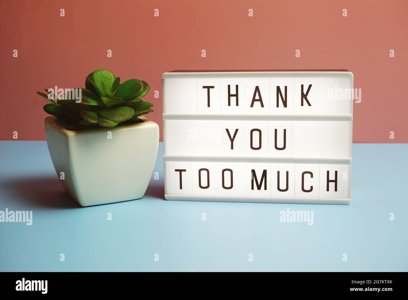 Thank You Too Muchword in light box on blue and pink background Stock ...