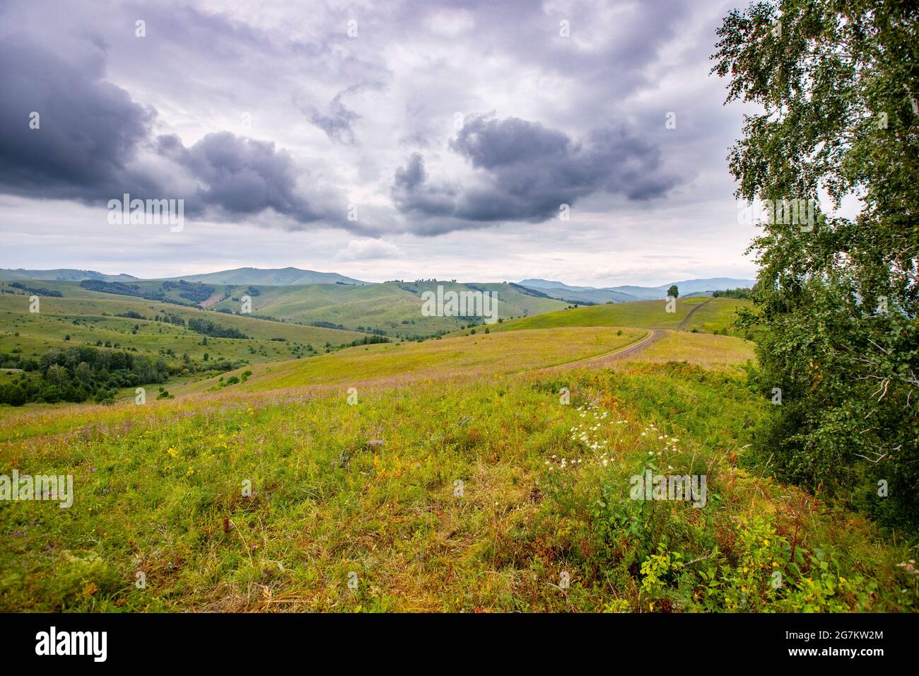 Hills and mountains Altai republic Russia, summer travel rally Stock ...