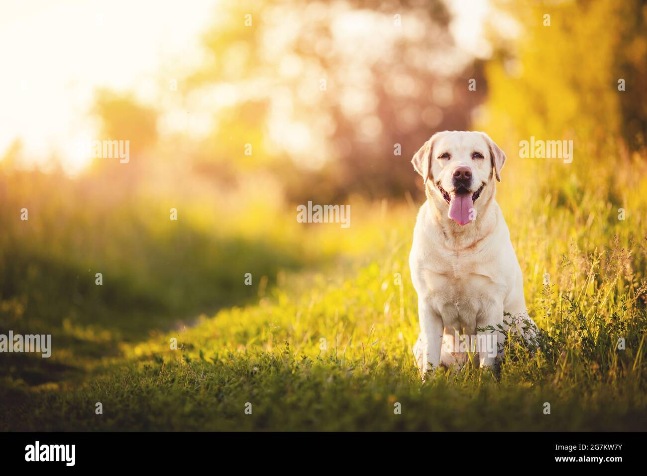 Relax and grin hi-res stock photography and images - Alamy