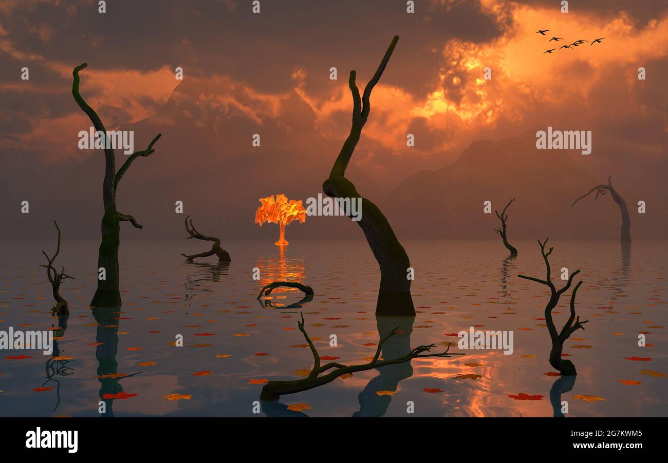 Biblical tree of life hi-res stock photography and images - Alamy