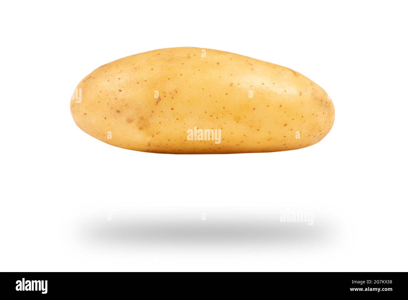 Isolated potato. Whole raw potatoe isolated on white background with ...