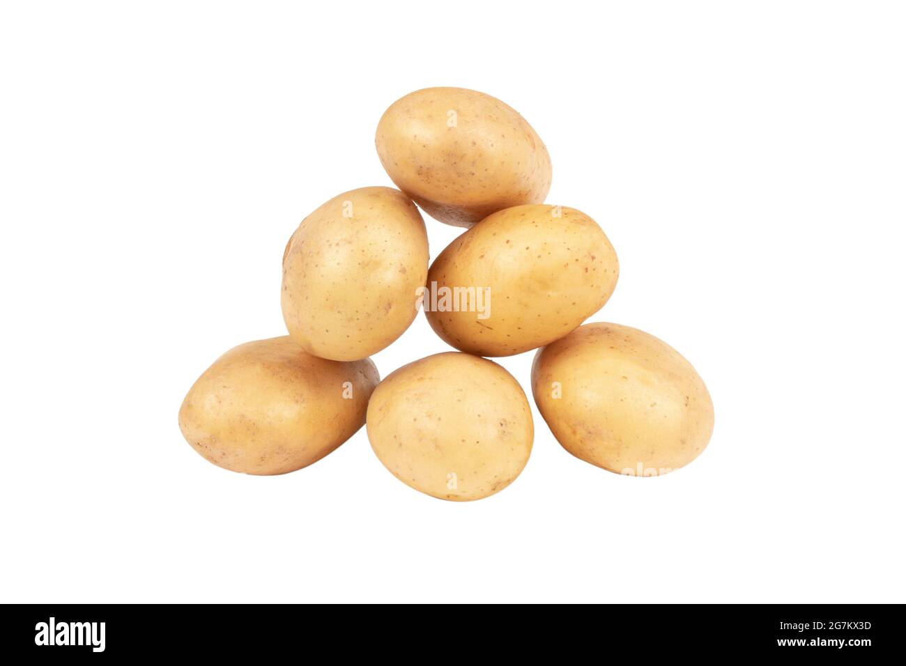 Isolated potato. Group whole raw potatos isolated on white background ...