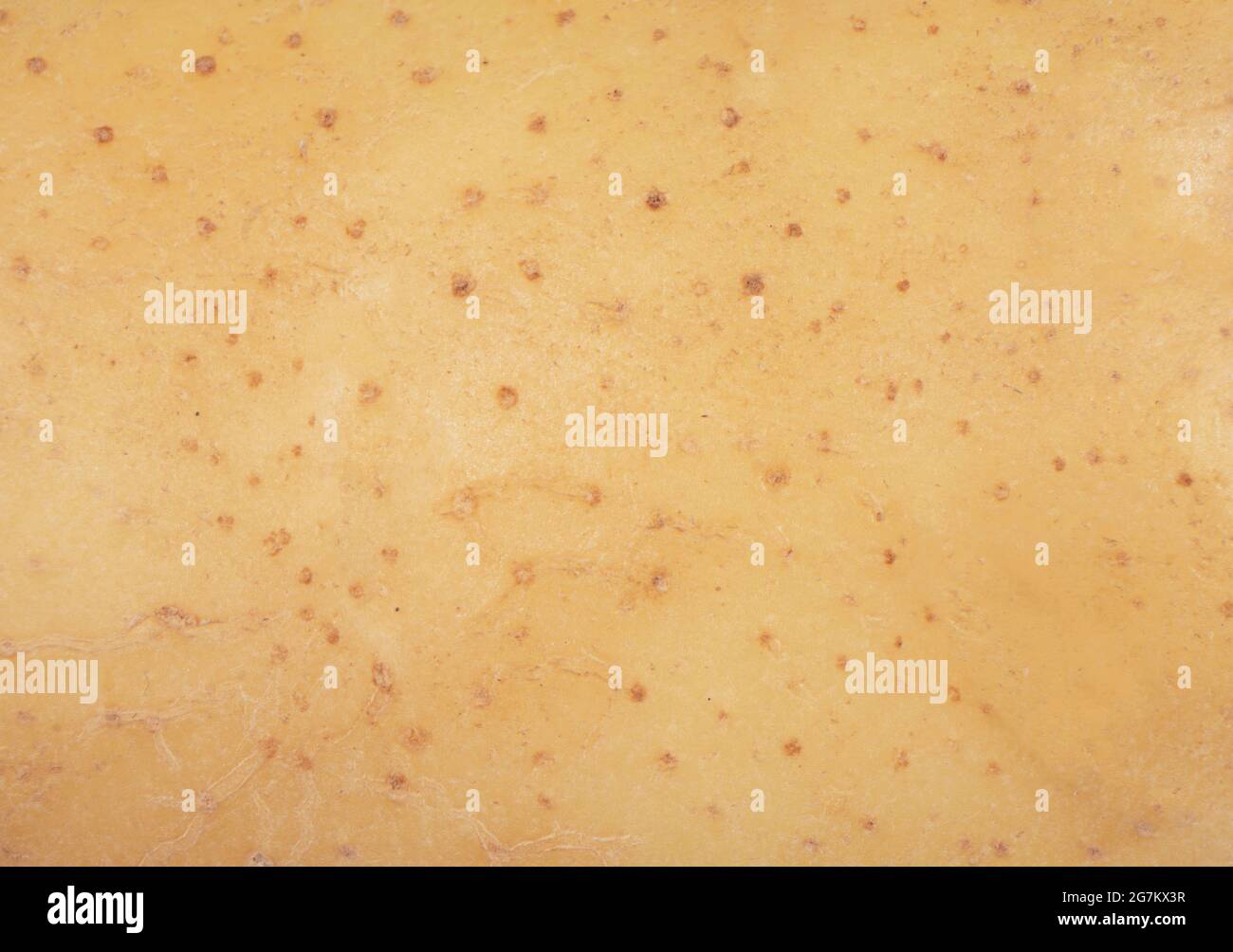 Potato texture pattern. Macro shot potatoe texture background. Fresh ...
