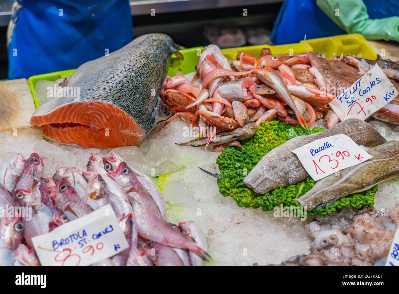 Fish and other seafood on a counter on sale at a Spanish market in ...