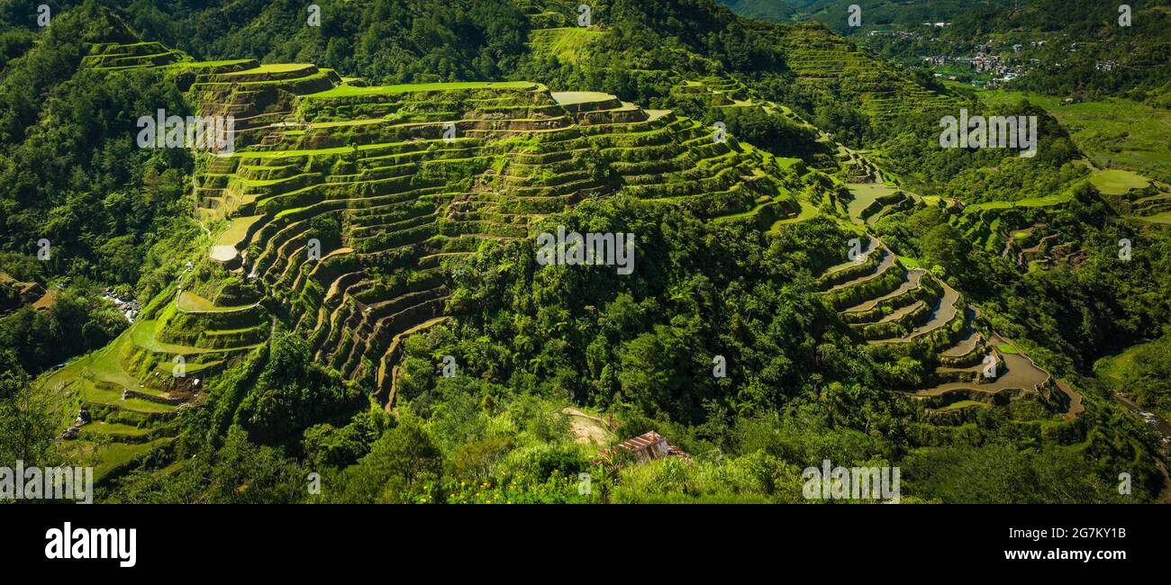 Panoramic shot of the scenic Banaue Rice Terraces in the Philippines ...