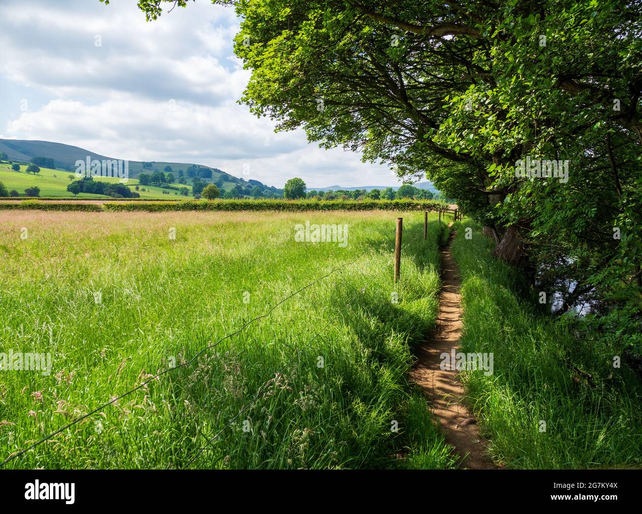 Beautiful view of a green field with a long and narrow path in ...