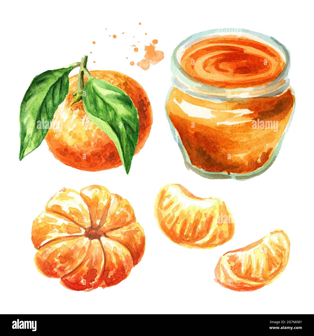 Glass jar of tangerine or mandarin jam with fresh juicy fruits set ...