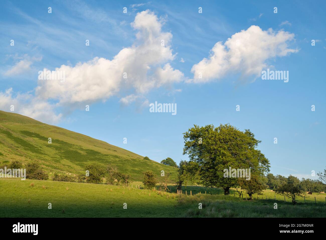 Lanarkshire scotland hi-res stock photography and images - Alamy