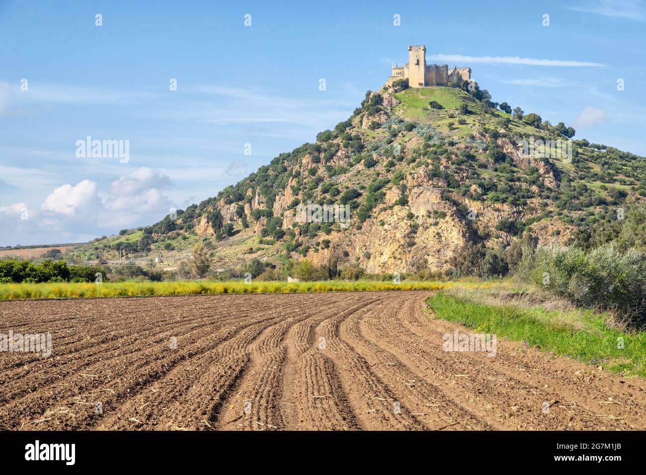 Almodovar hi-res stock photography and images - Alamy