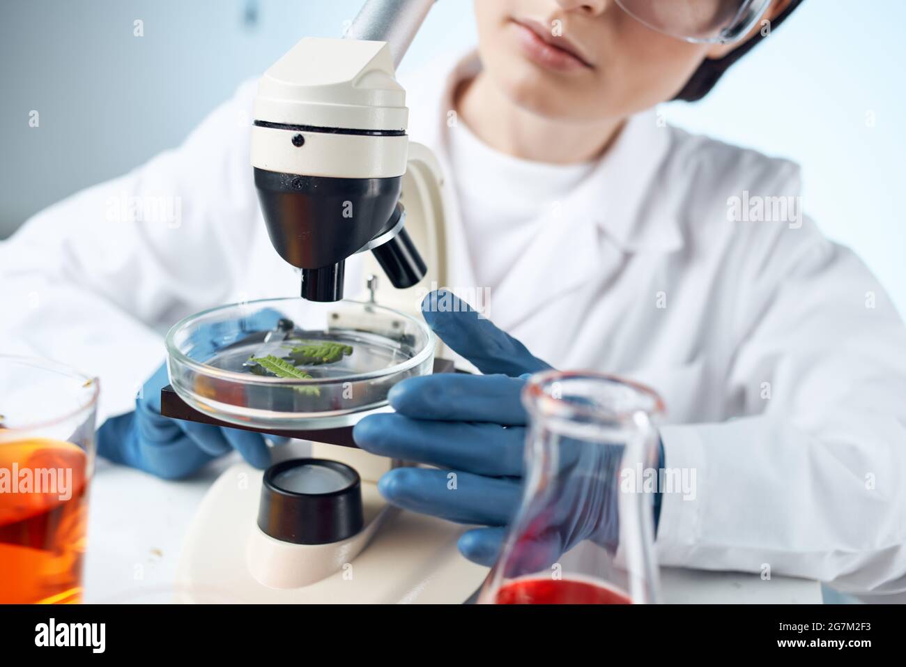 female doctor medicine laboratory research close-up Stock Photo - Alamy