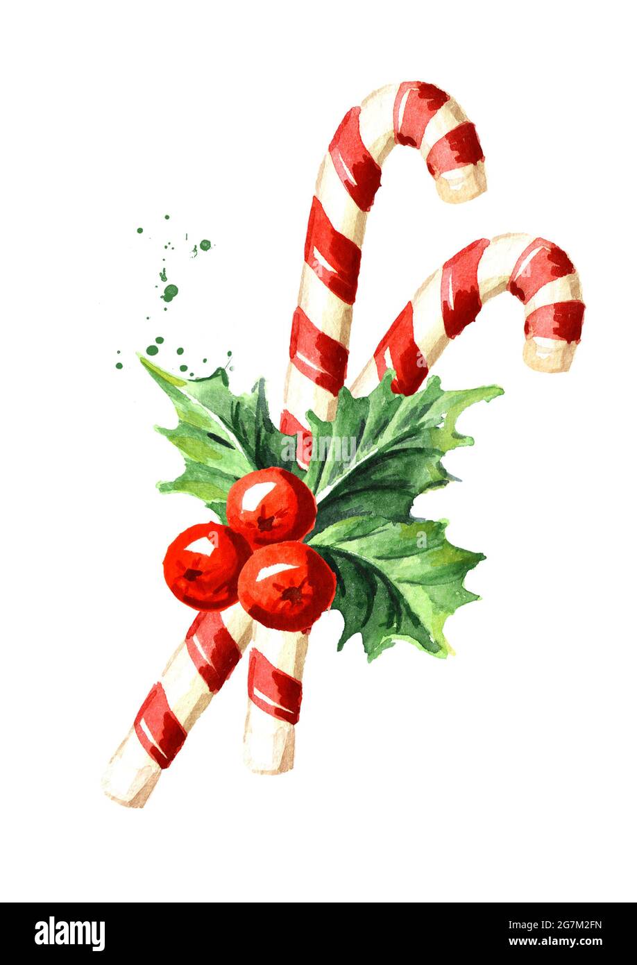 Christmas candy cane with Holly berry. Watercolor hand drawn ...