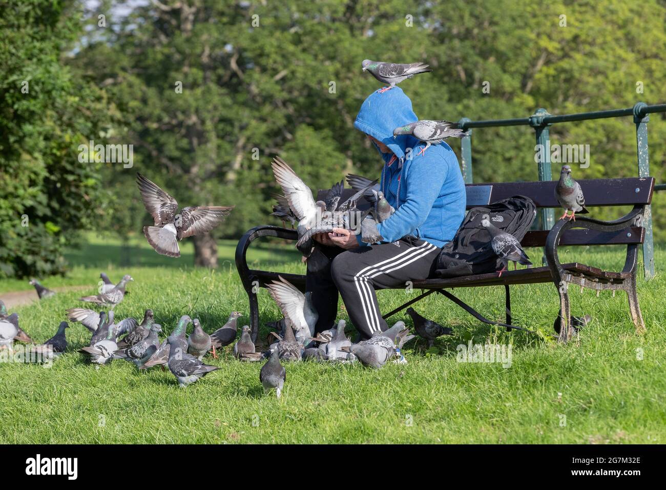 Man on bench feeding birds hi-res stock photography and images - Alamy