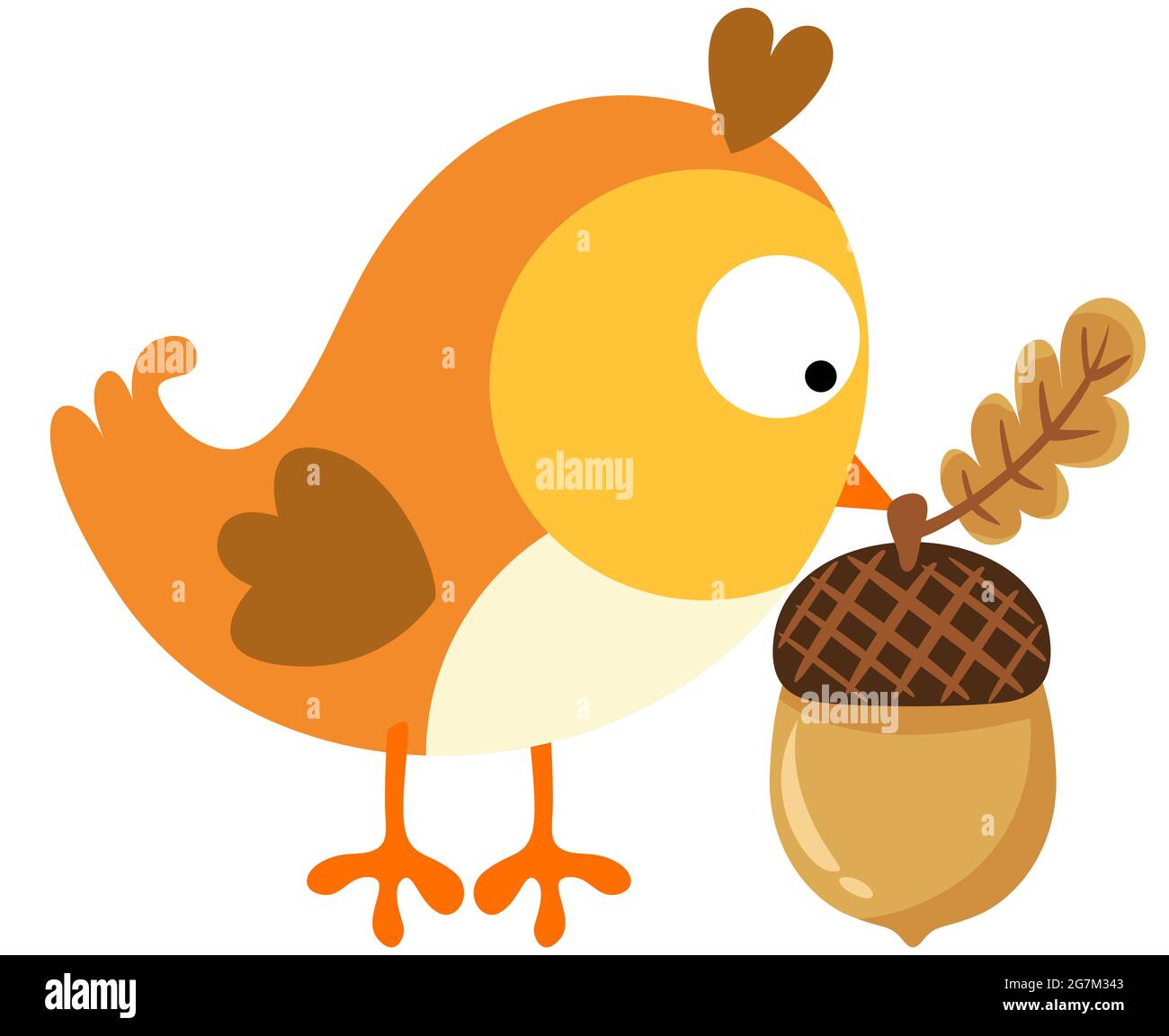 Cute autumn bird with brown acorn Stock Photo - Alamy