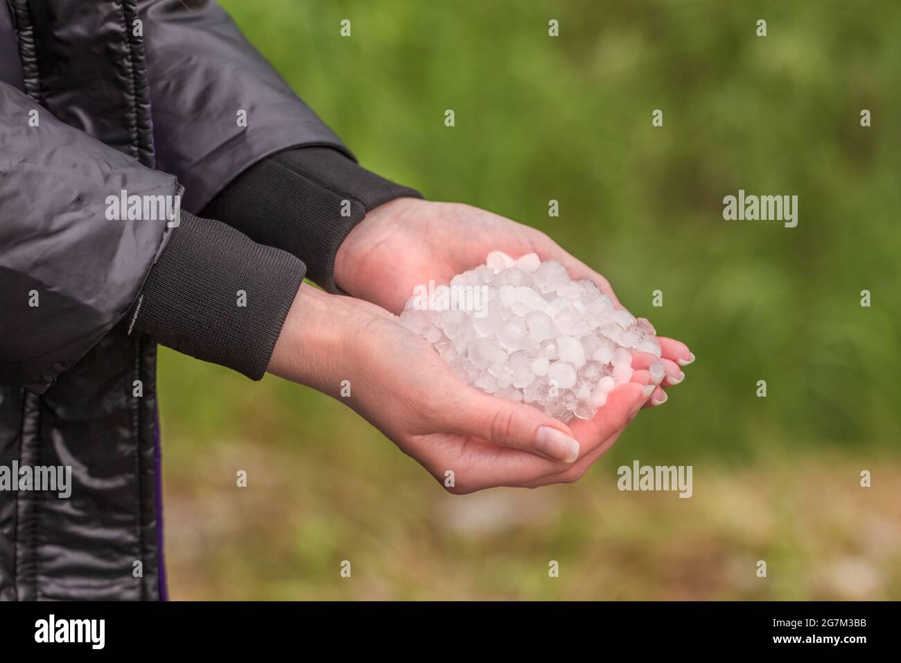 Woman hands full of hailstones after strong storm Stock Photo - Alamy