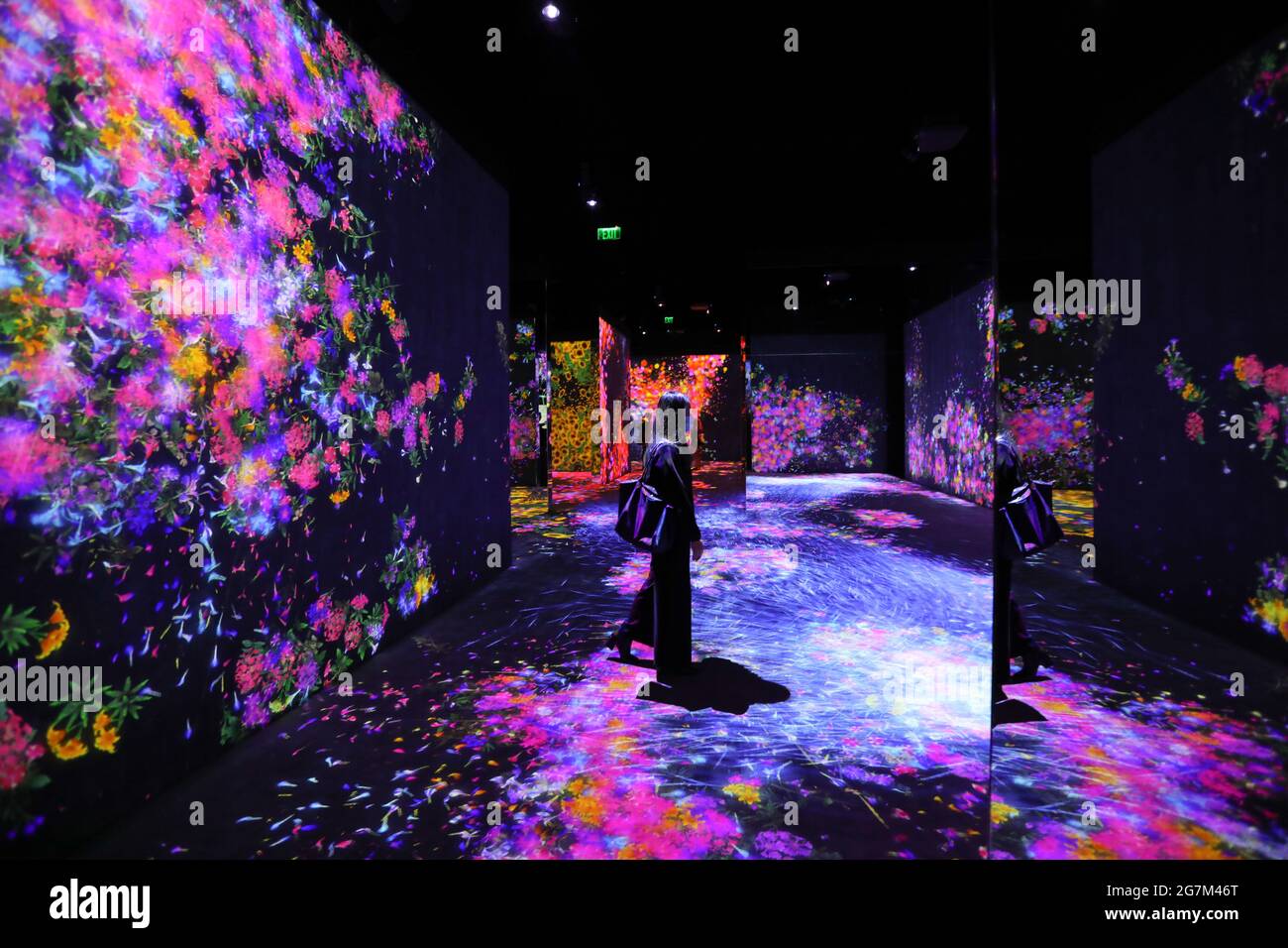 Teamlab exhibition hi-res stock photography and images - Alamy
