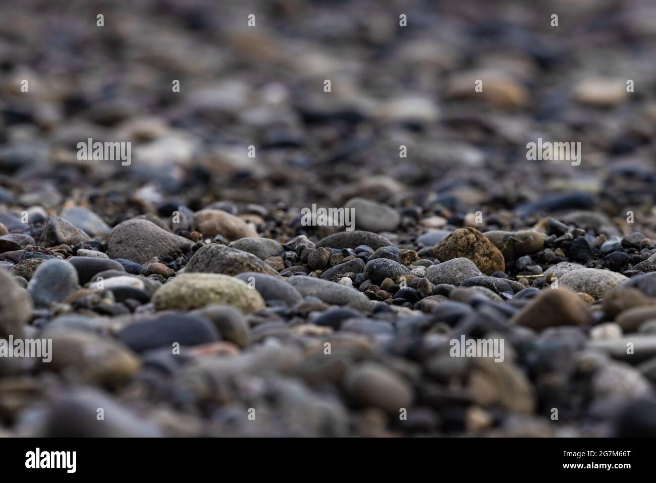 pebbles and small stones outside in natural shoreline washington beach ...