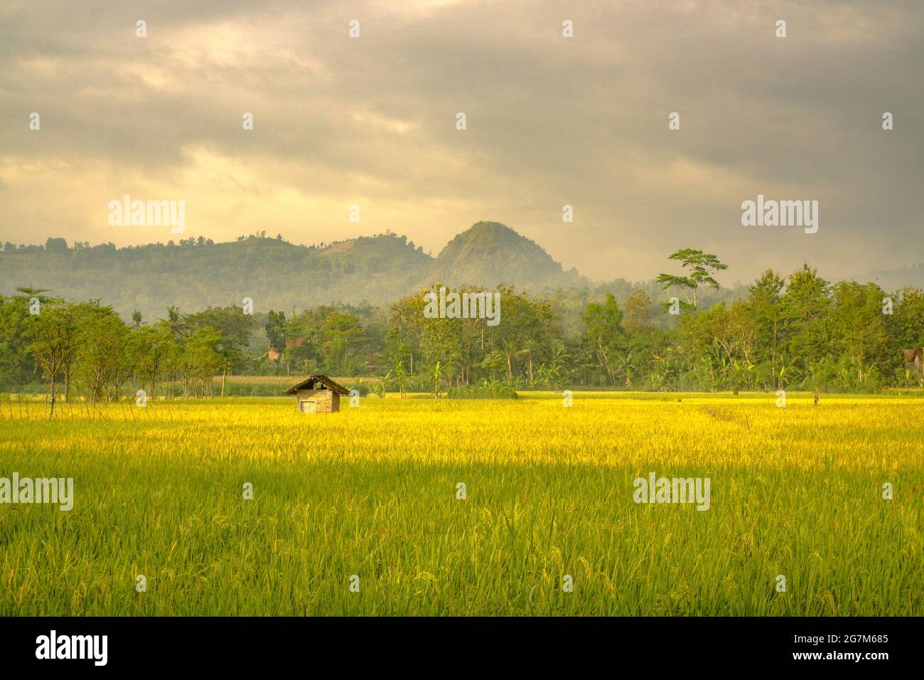 Landscape of House and Field Stock Photo - Alamy