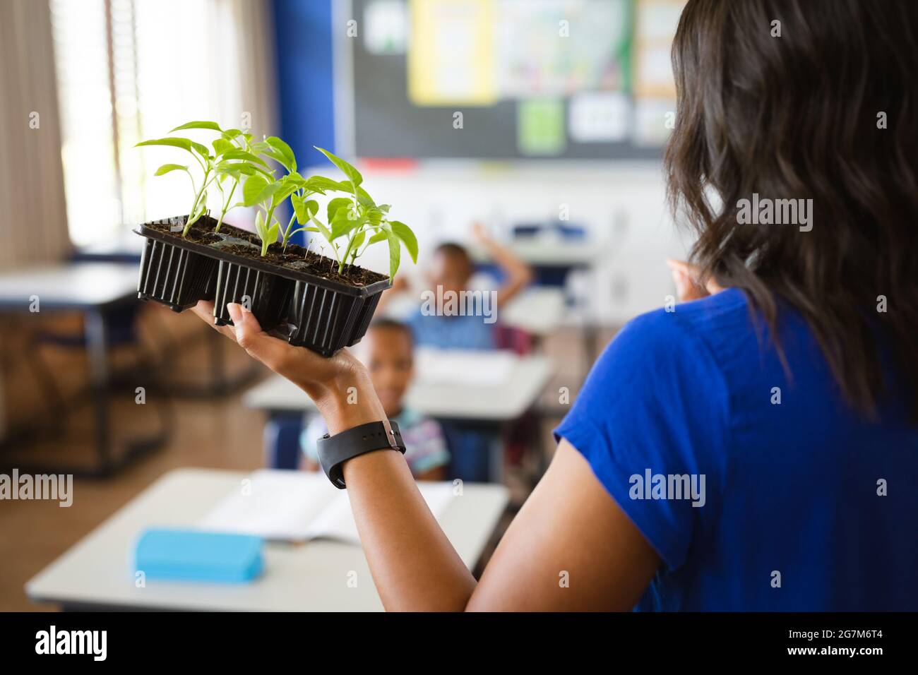 Rear view of female teacher holding plant seedlings while teaching in ...