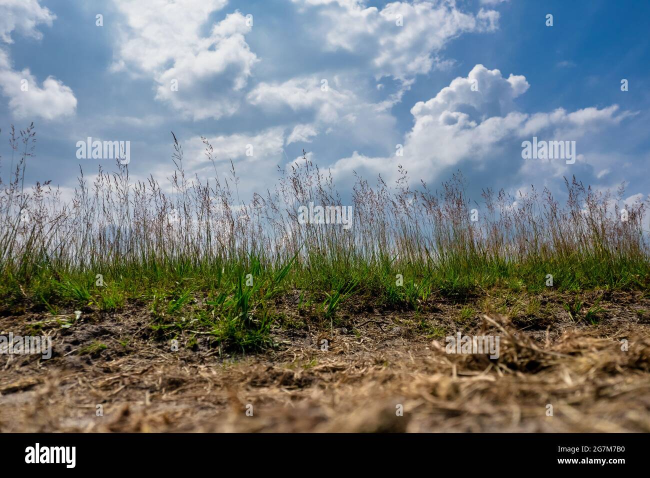 Wide angle photo from low point of view, of a sandy path with grass and ...