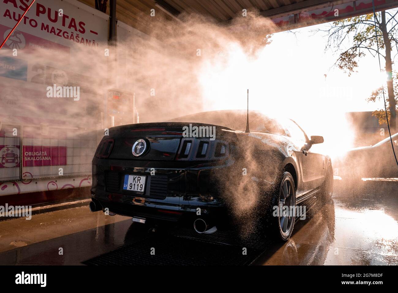 Black Ford Mustang muscle car in a car wash Stock Photo - Alamy