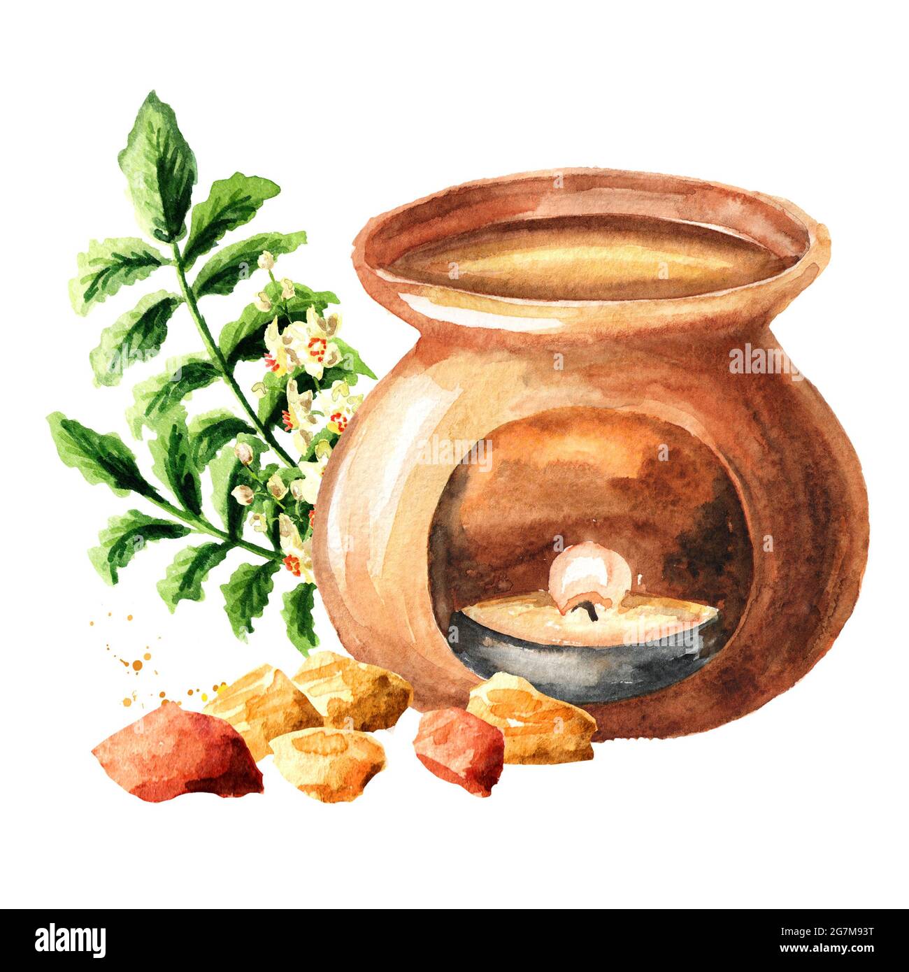 Frankincense essential oil and aroma lamp. Watercolor hand drawn ...