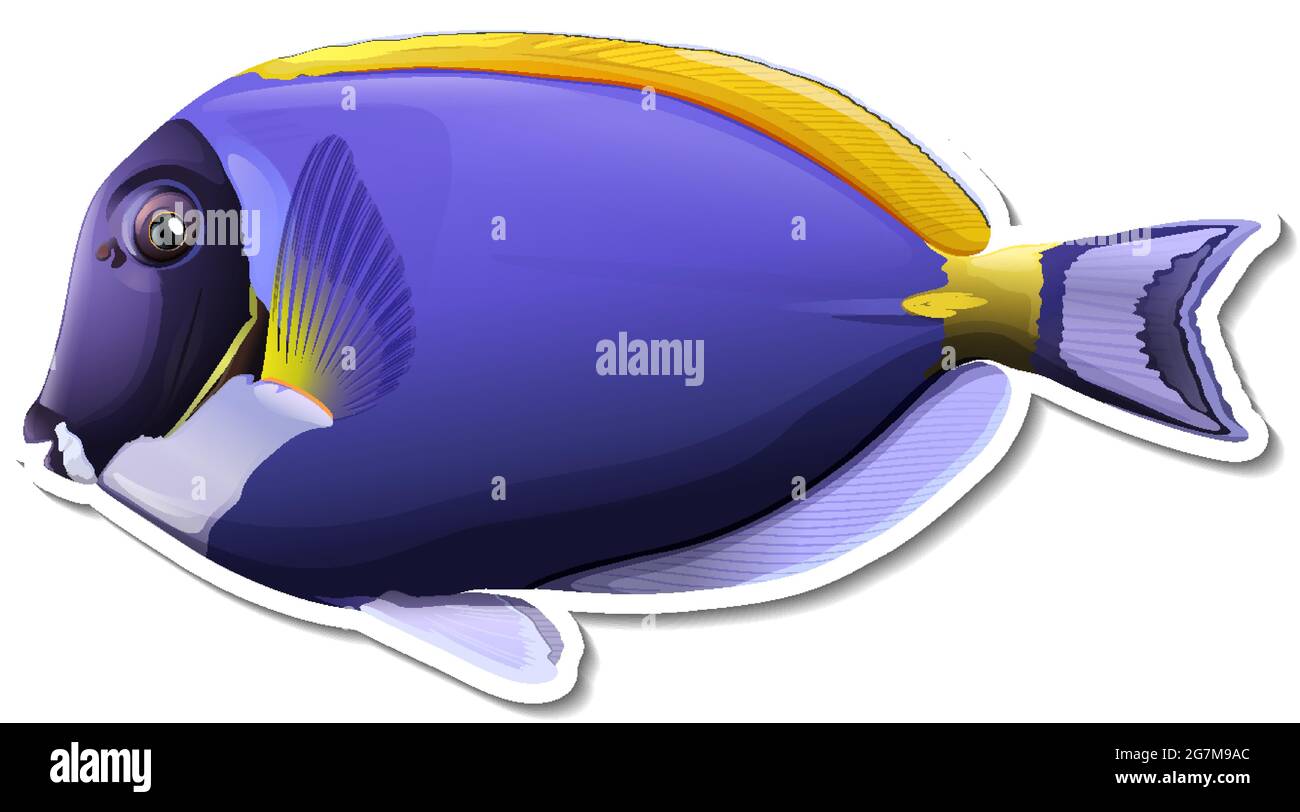 Sea surgeonfish underwater Cut Out Stock Images & Pictures - Alamy