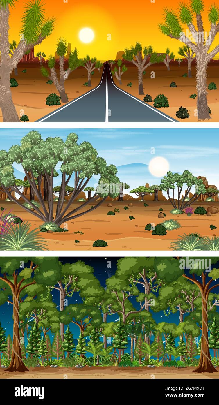 Set of different forest horizontal scenes in different times ...