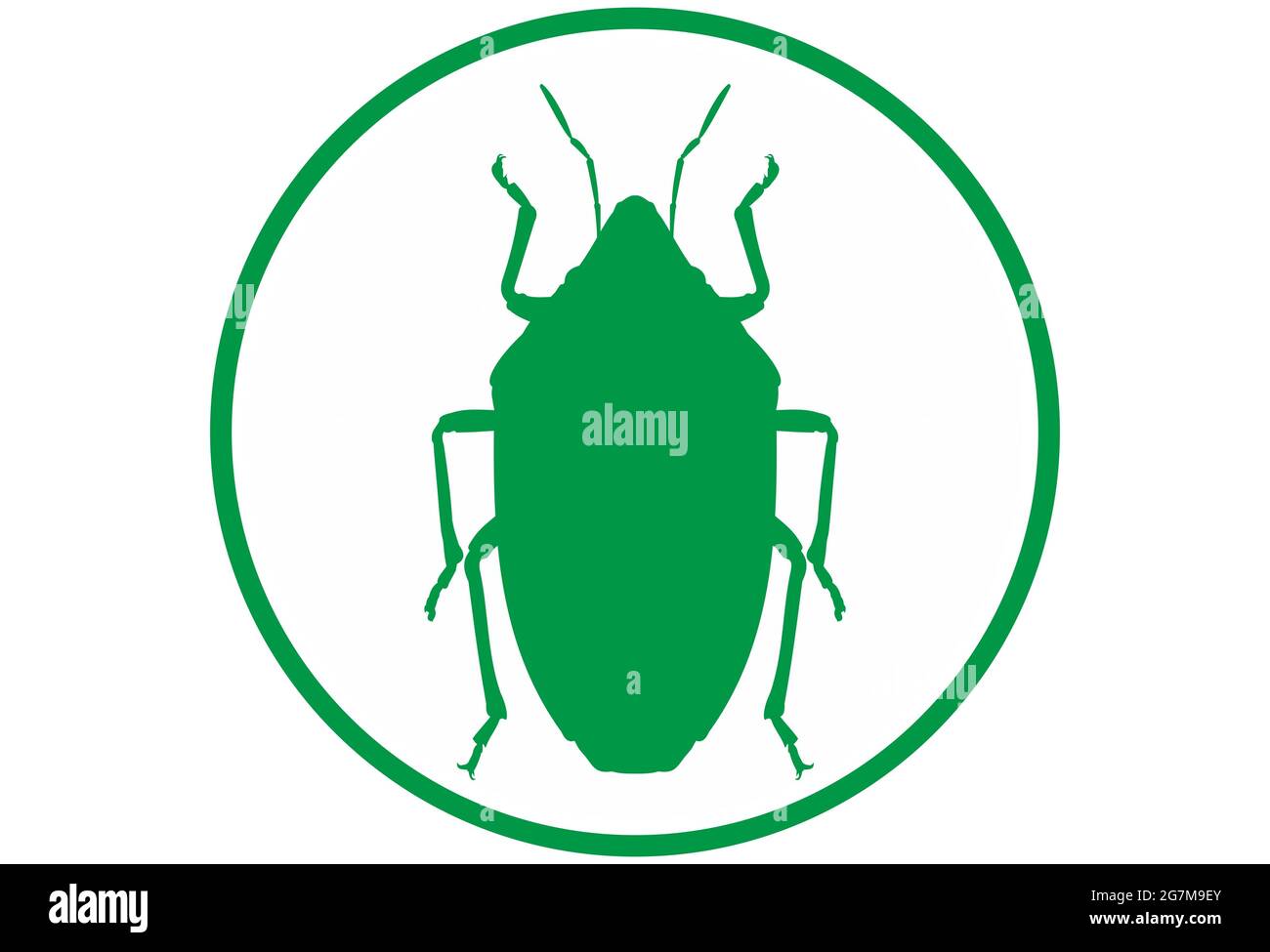 Bug in a green circle on a white background Stock Photo - Alamy