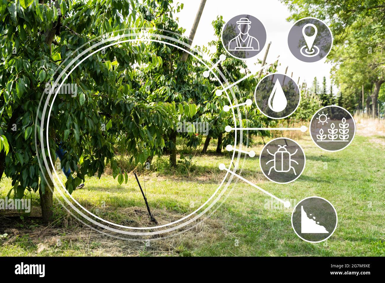 Smart Farming Digital Technology Agriculture At Farm Stock Photo - Alamy