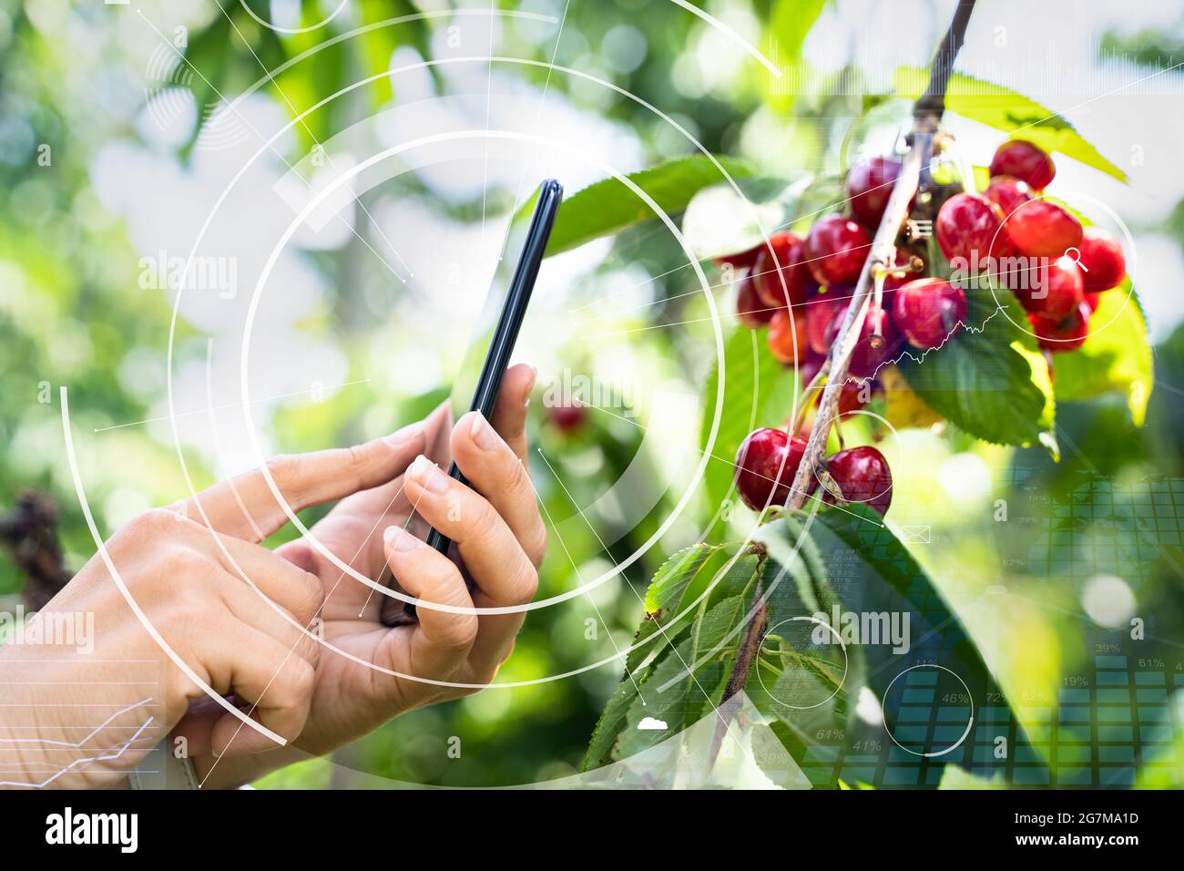 Smart Farming Digital Technology Agriculture App At Farm Stock Photo ... Smart Farming Digital Technology Agriculture App At Farm Stock Photo ...