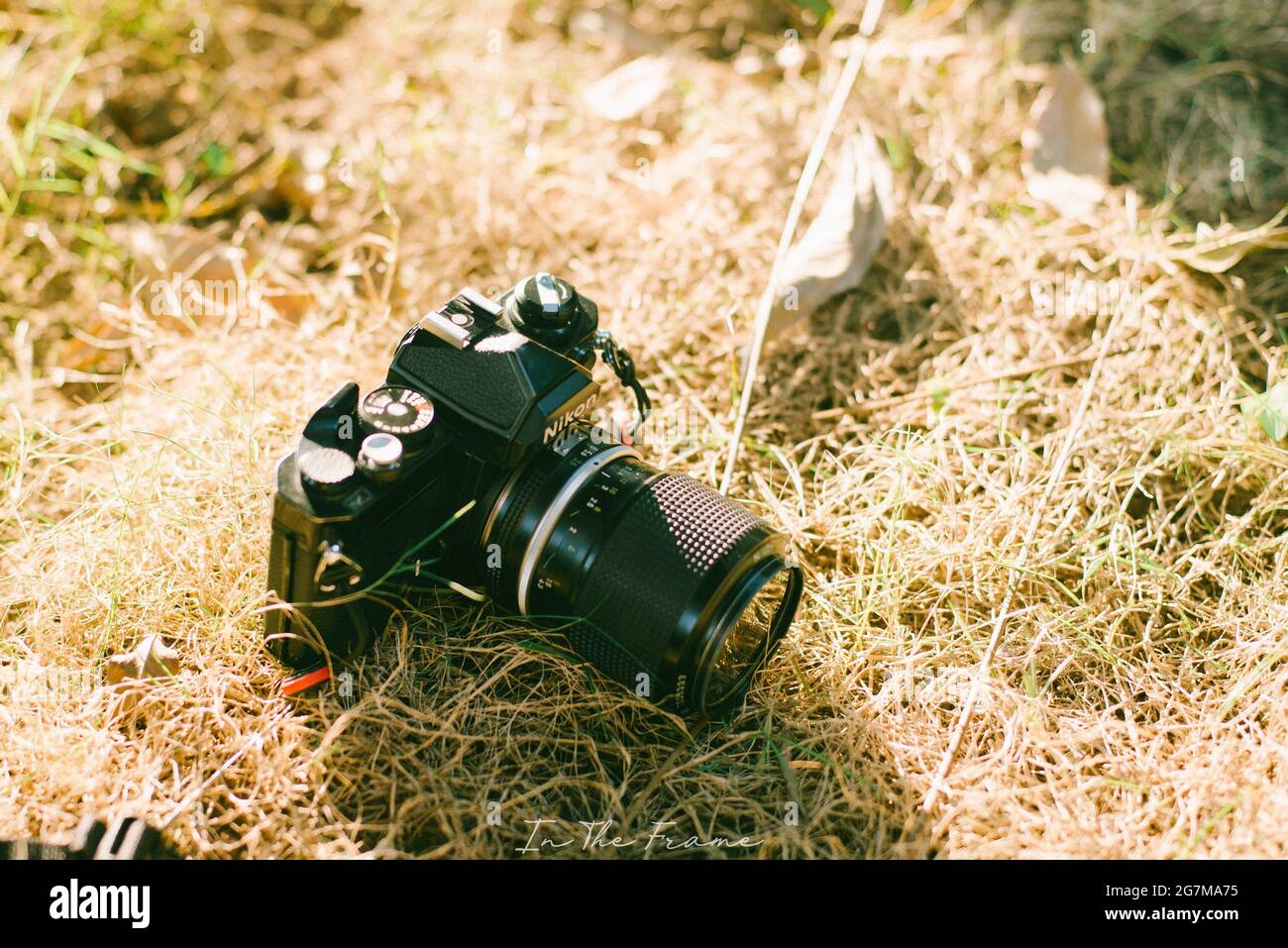 Vintage Nikon FM Camera Stock Photo - Alamy