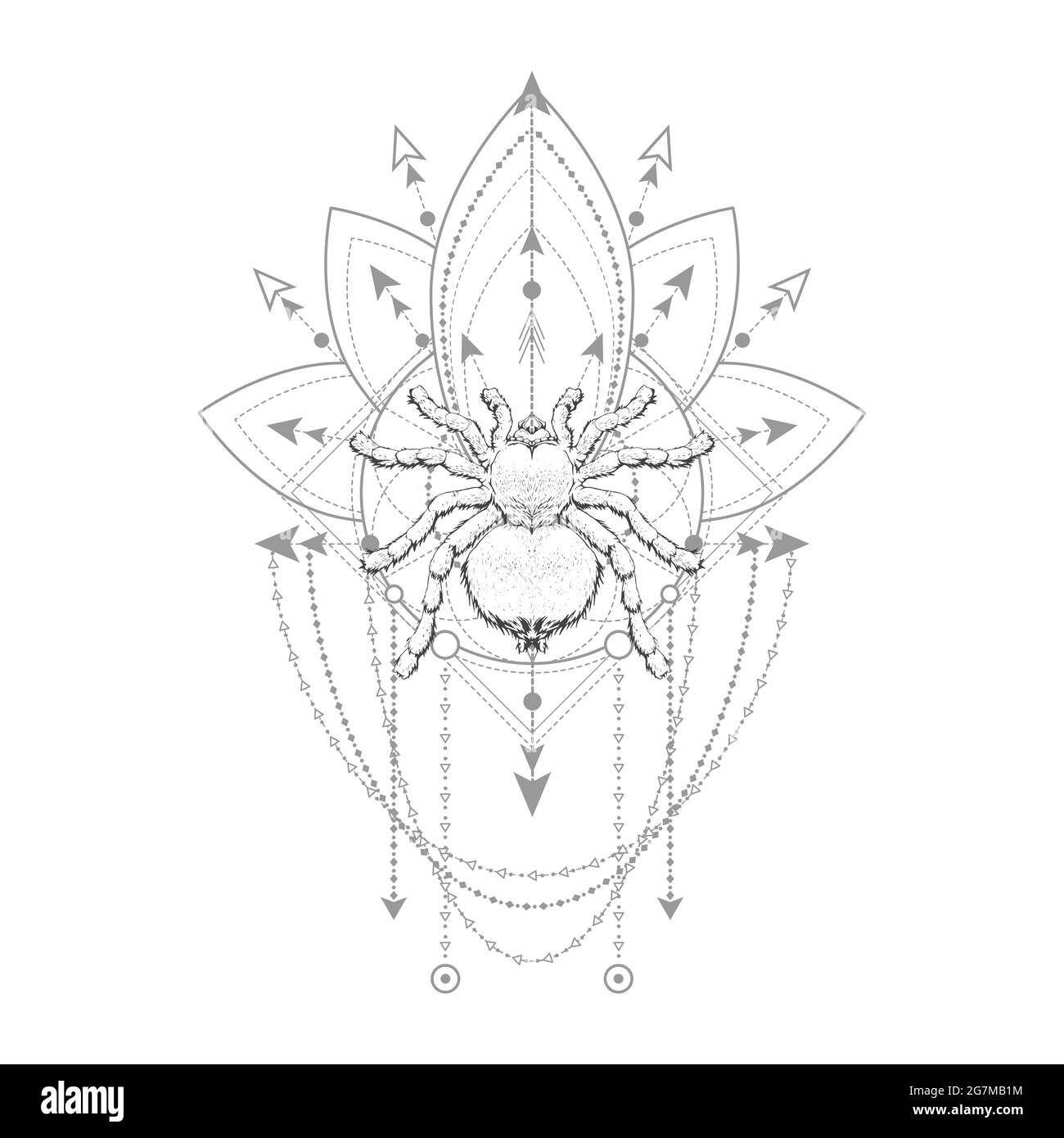 Spider Dream Catcher Stock Vector Images Alamy