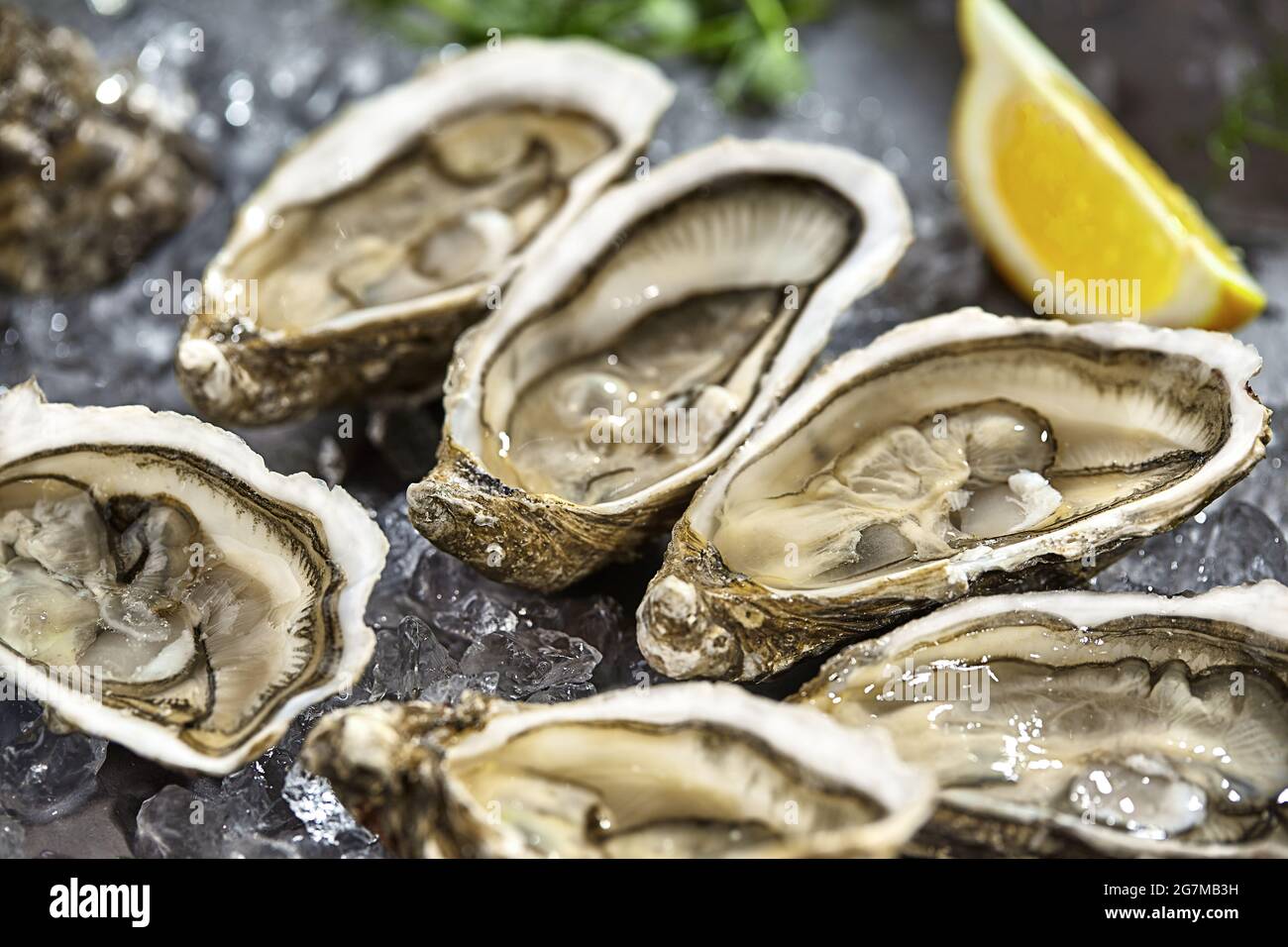 Fresh raw oysters in shells hi-res stock photography and images - Alamy