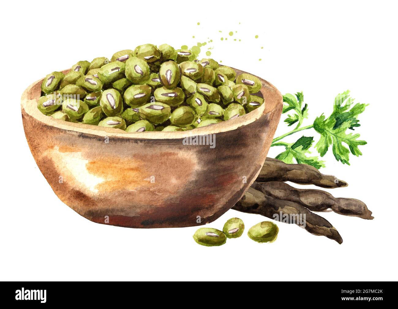 Bowl with Raw mung beans. Hand drawn watercolor illustration, isolated ...