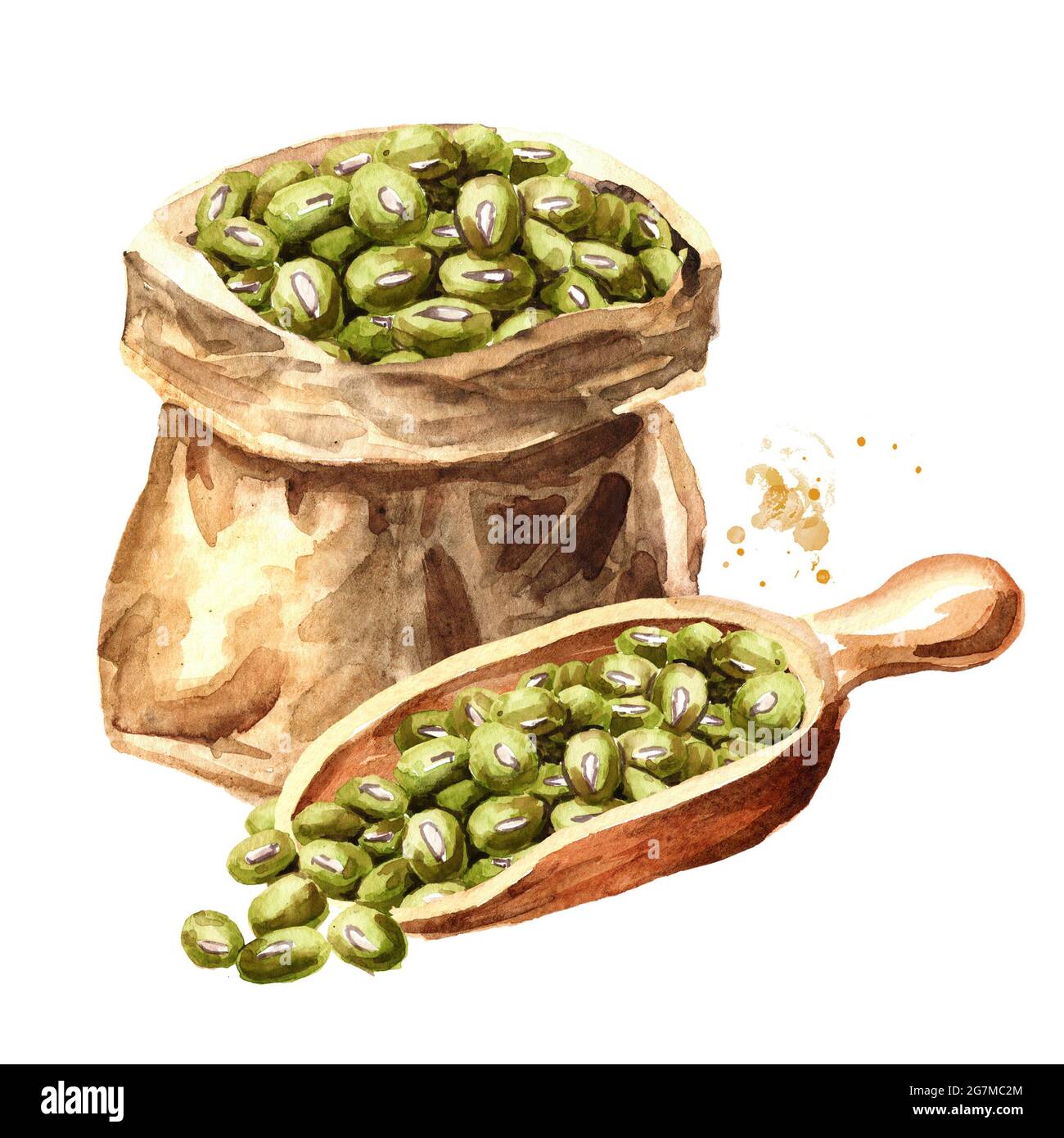 Moong bean pod hi-res stock photography and images - Alamy