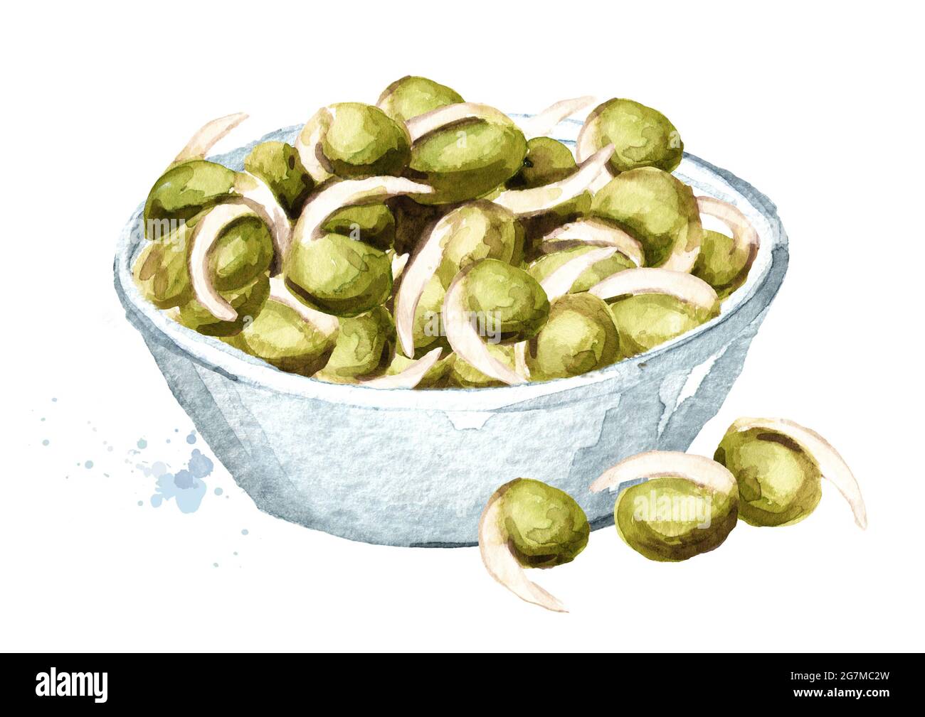 Sprouted mung beans. Hand drawn watercolor illustration, isolated on ...