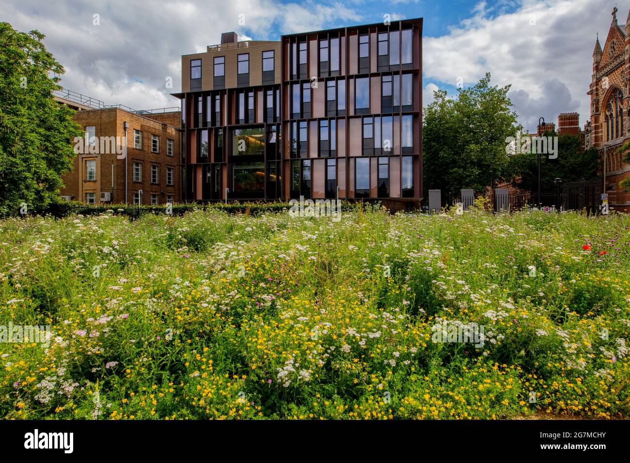 The Beecroft Building seen from The University Parks, Oxford; part of ...