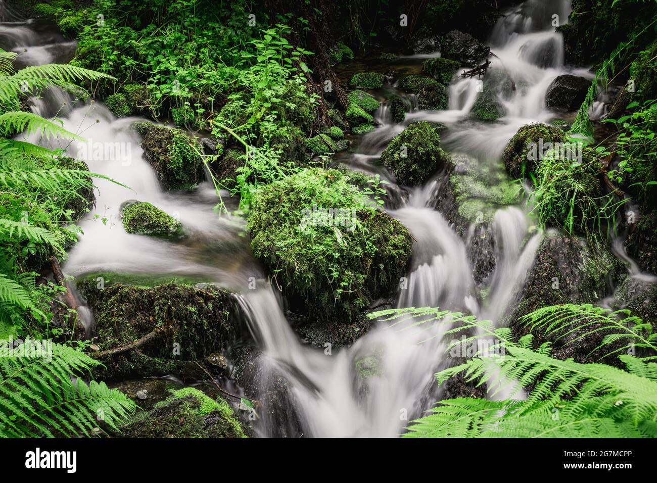 Waterfall falls canonteign hi-res stock photography and images - Alamy