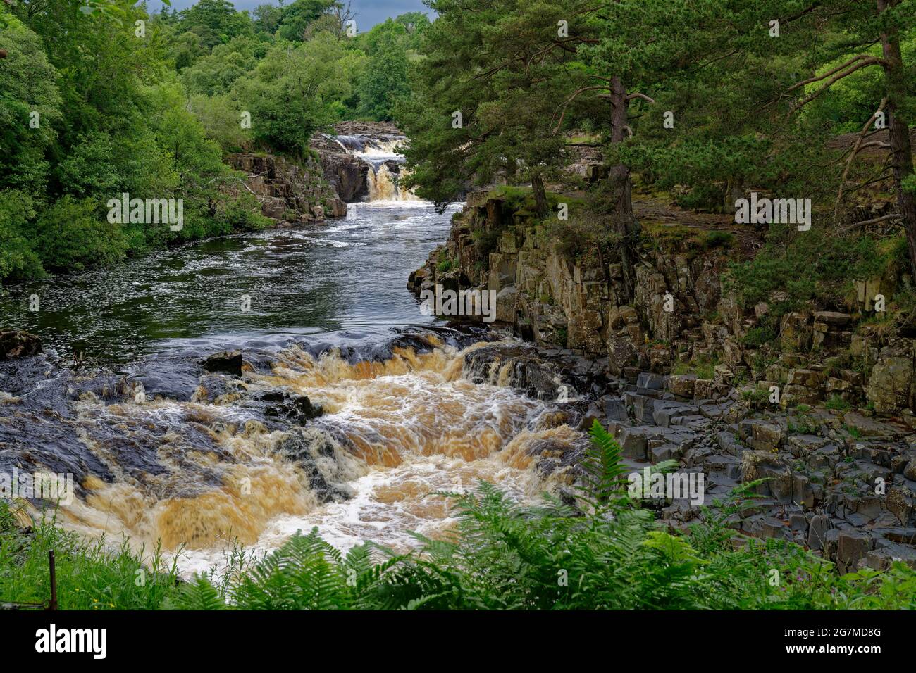 Low Force Waterfall in Teesdale County Durham Stock Photo - Alamy