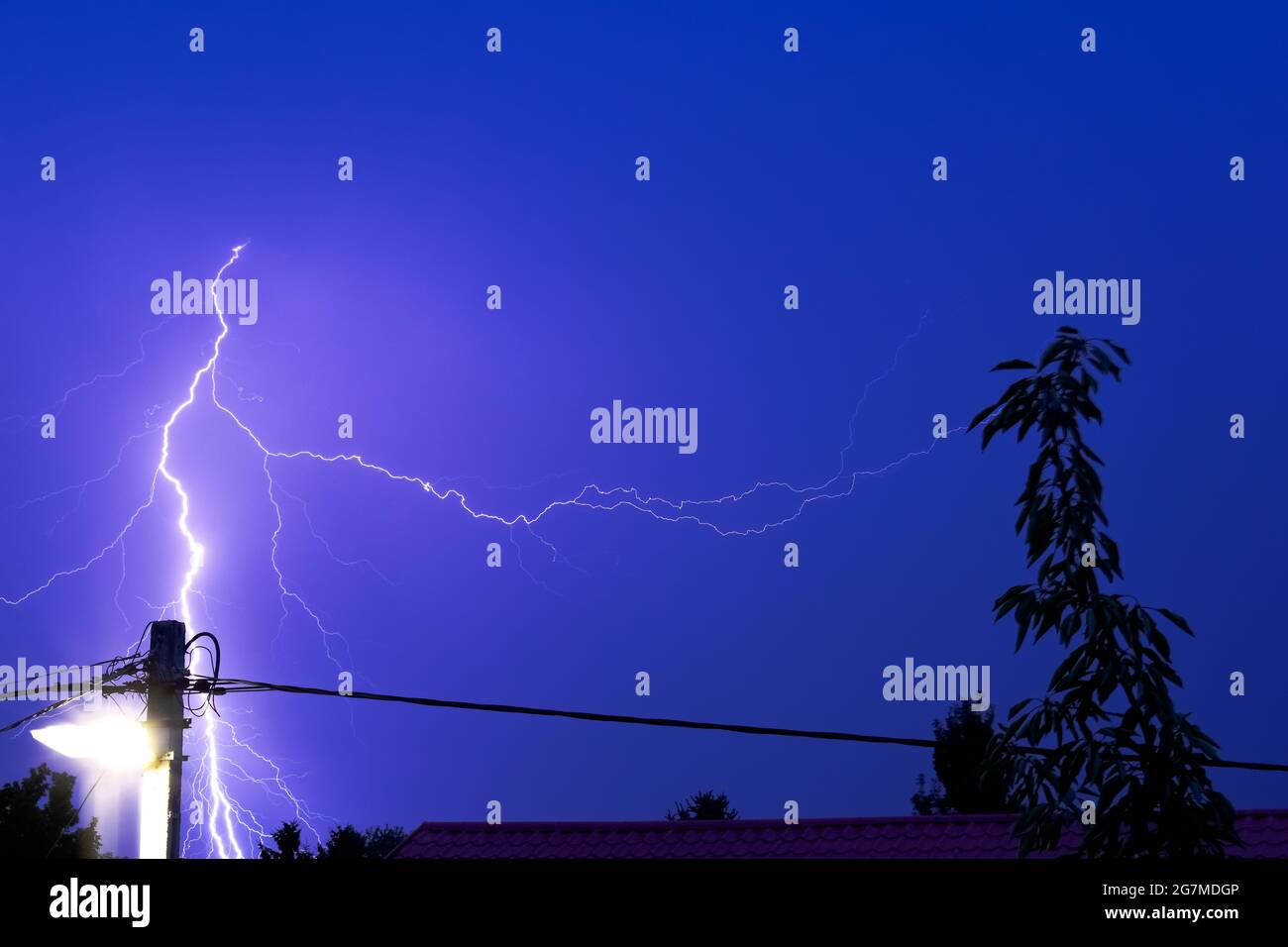 Lightning thunder tree hi-res stock photography and images - Alamy