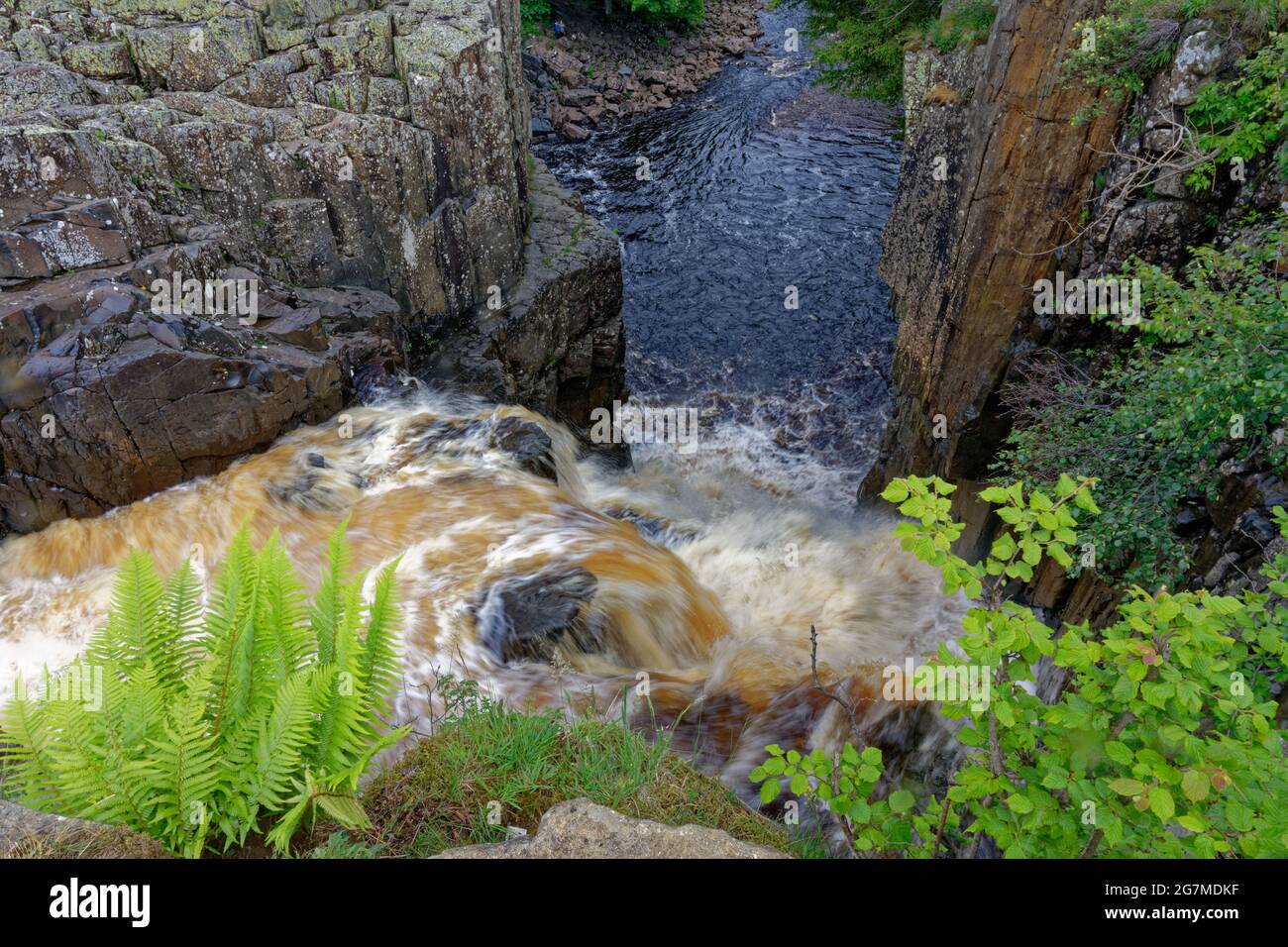 High Force Waterfall in Teesdale County Durham Stock Photo - Alamy High Force Waterfall in Teesdale County Durham Stock Photo - Alamy