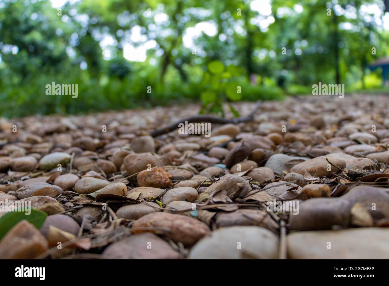 Public background hi-res stock photography and images - Alamy