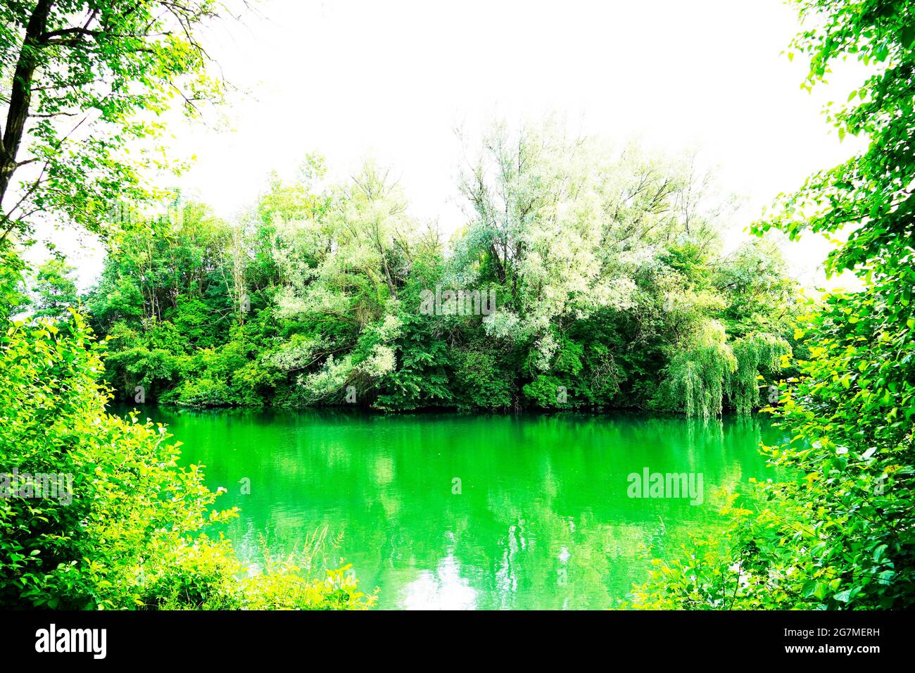 Landscape at the Rolandsee near Beckum. Green nature at a lake in ...