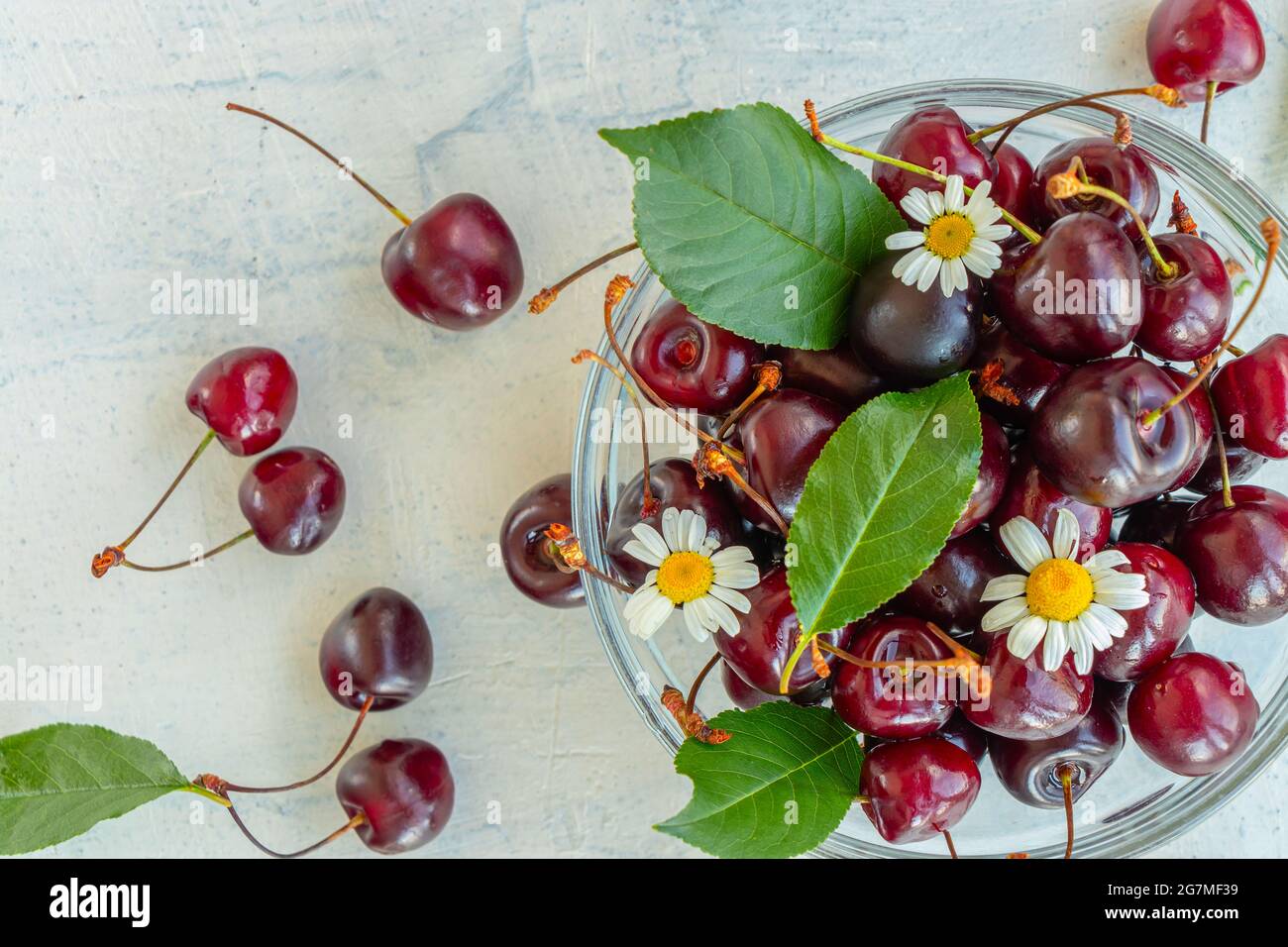 sweet juicy cherries on white textured background. flat lay of cherry ...