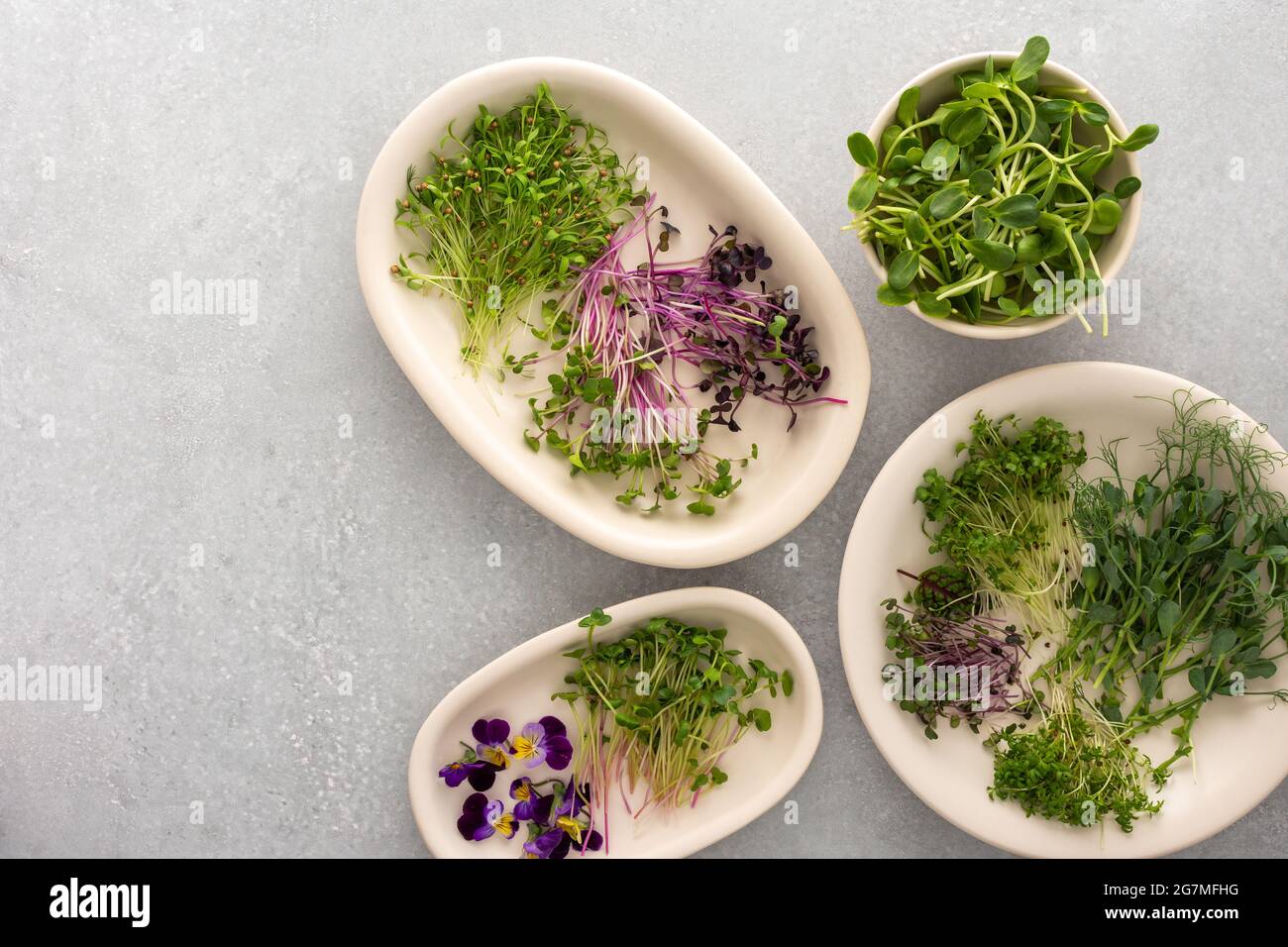 Different types of useful microgreens on plates, top view Stock Photo ...