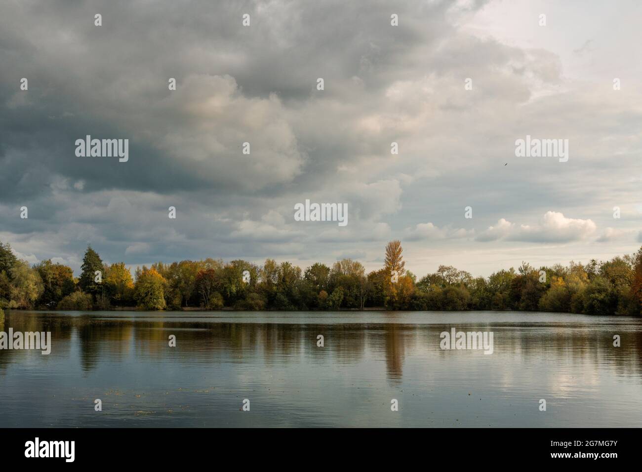 View across the lake at Neighbridge Country Park in the Cotswold Water ...