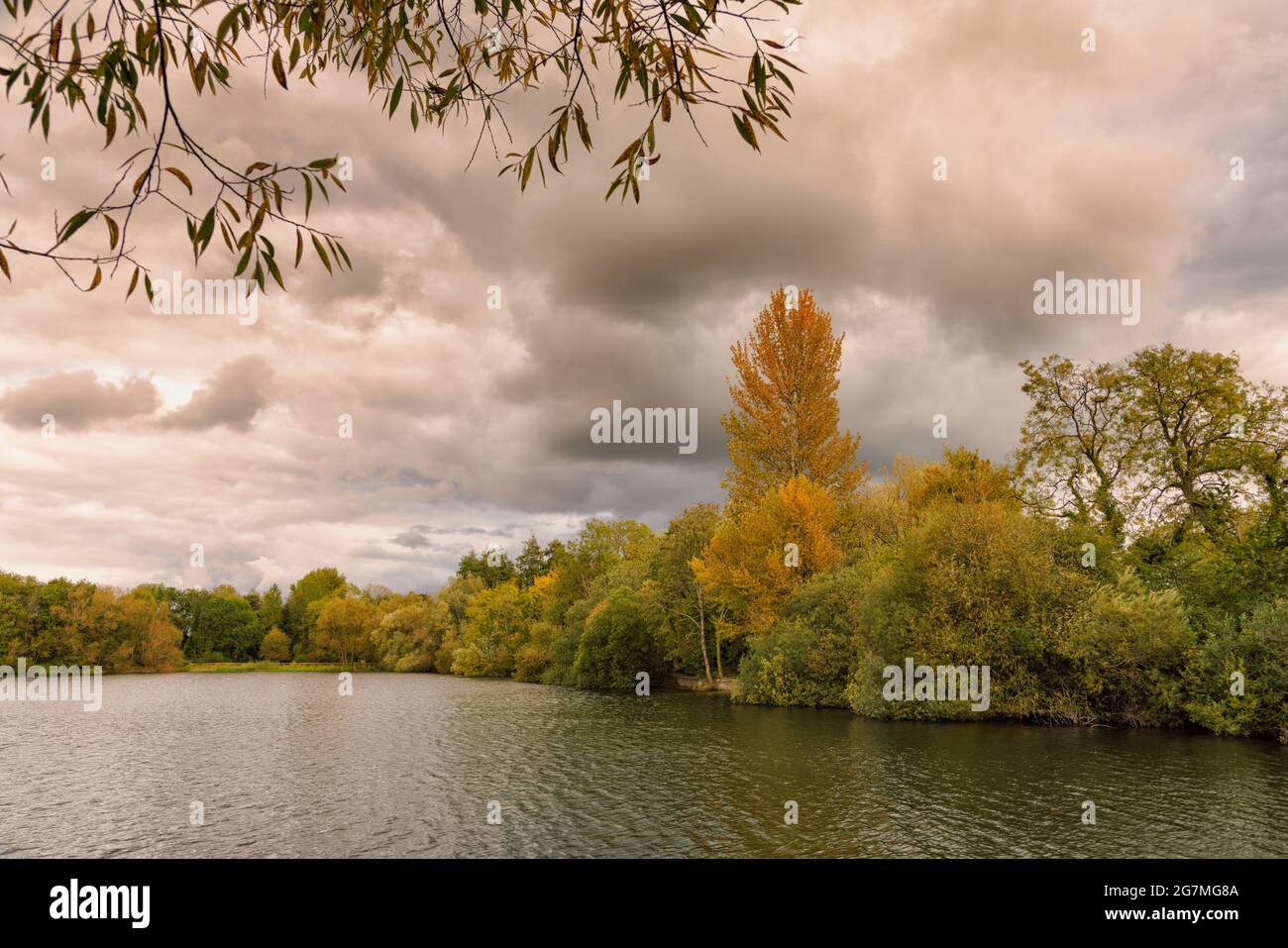 View across the lake at Neighbridge Country Park in the Cotswold Water ...