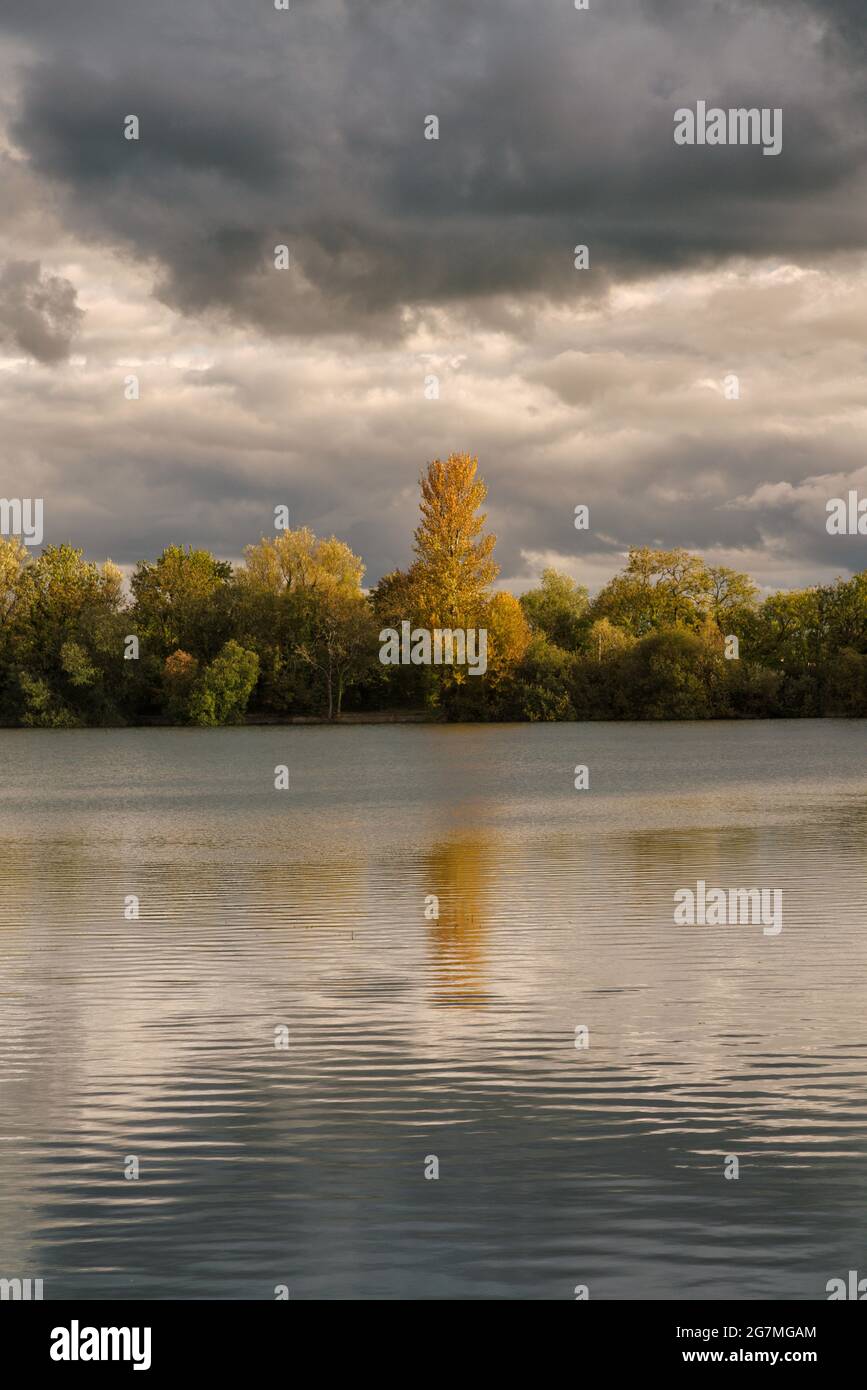 View across the lake at Neighbridge Country Park in the Cotswold Water ...